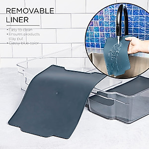 Clear Refrigerator Organizer Bins - 2 Pack Large Sized (8.25" x 12.5") Clear Bins for Fridge with Liners, Containers for Fridge and Freezer, Multipurpose Storage for Kitchen, Office, Bathroom (Blue)