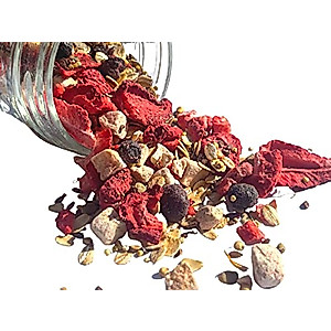 Snout and Shell Fruity Breakfast Blend Hermit Crab Dry Food - High Protein & Nutrient Blend Diet of Rolled Oats, Blueberries, Strawberry, Banana, Sprouted Seeds Mix - Aquatic Pet Snack Treat | 65g