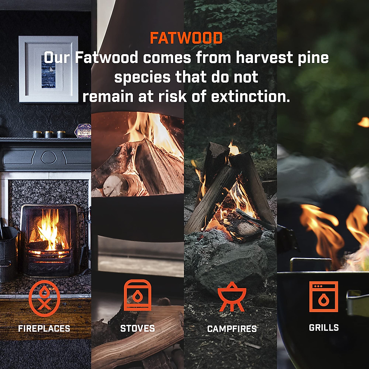 EcoBlaze Fatwood Fire Starter Sticks Natural Firestarter for Kindling, Campfires Wood Stoves Fireplaces Fire Bonfires Pits Grill BBQ Non-Toxic 100% Organic(Fatwood 10Lbs)