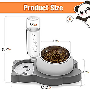 WZFFPAOJ Elevated Dog Cat Bowls, Tilted Cat Food and Water Bowl Set, Raised Stainless Steel Cat Bowls with Automatic Water Dispenser Bottle for Cats and Small Dogs Kitten Puppy