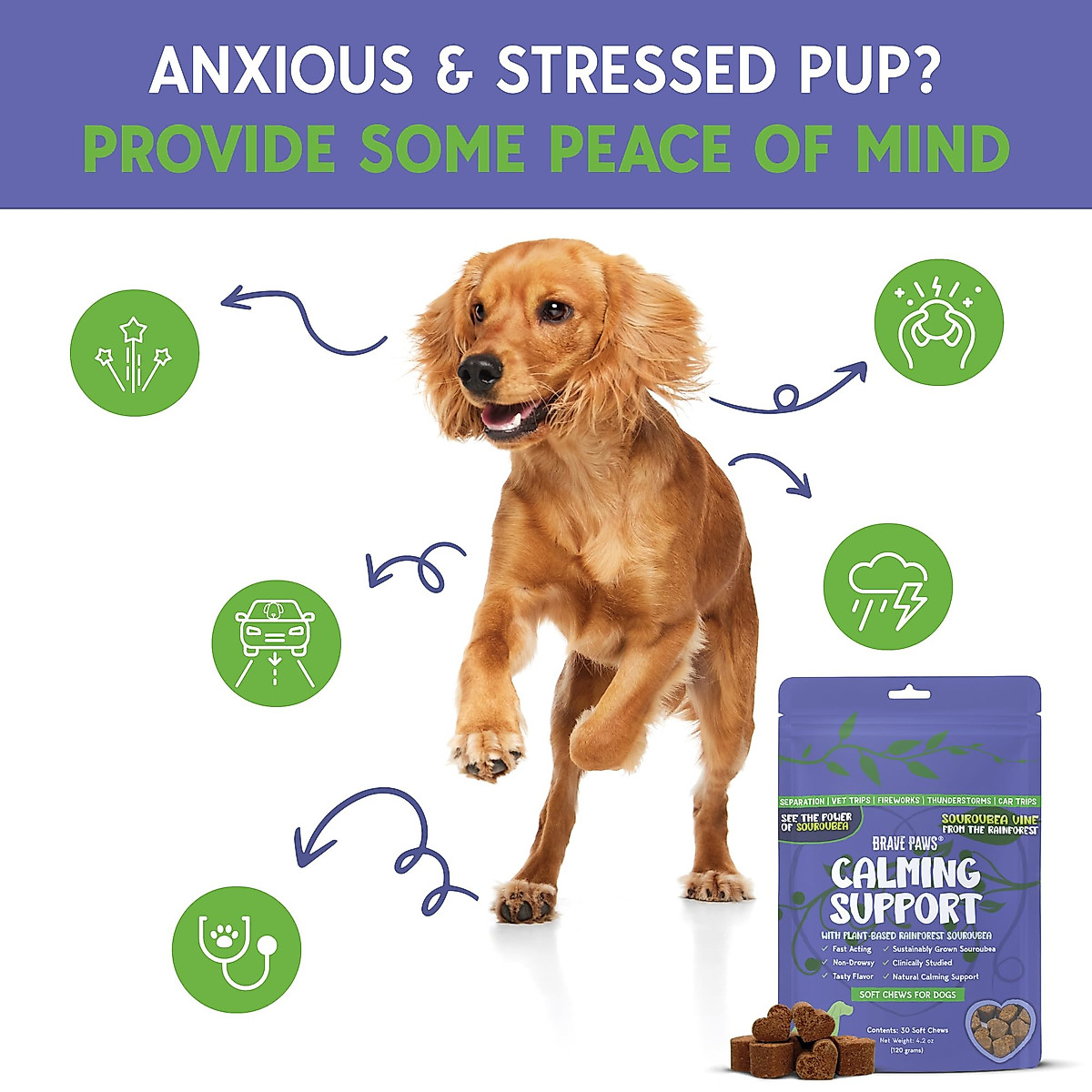 Calming Chews for Dogs Anxiety | Puppy & Dog Anxiety Relief Treats with Natural Souroubea | Calm Aid During Stress, Thunder, Storm, Separation, Car Travel, Motion, and Fireworks | Beef Flavor
