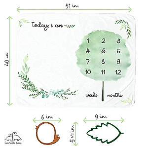 two little dinos Baby Monthly Milestone Blanket for Boy or Girl - Unisex Gender Neutral Age Blanket Growth Chart by Weeks or Months with Markers - Newborn Milestone Photography - First Year 0 to 12