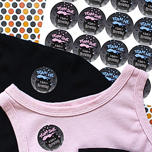 Baby is Brewing Halloween Gender Reveal Party - Bubbling Witch Cauldron Team He or Team She - 40 Stickers