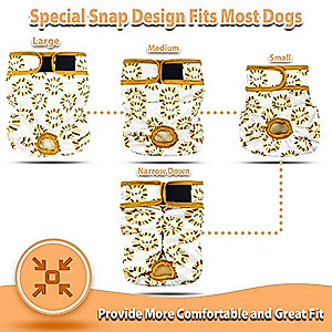 Langsprit Washable Female Dog Diapers (3 Pack) - No Leak Reusable Diapers for Doggy Female in Period - Highly Absorbent Dog Heat Panties with Adjustable Snaps (Rabbit, Owl, Lion, Medium)