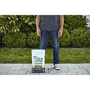 Scotts Turf Builder Thick'R Lawn Tall Fescue Mix: Seed, Fertilizer, Soil Improver, 12 lbs., 2-Pack