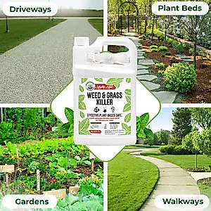 Weed & Grass Killer – Natural Vinegar Weed Killer – for Organic Use – 1 Gallon - Glyphosate Free - OMRI - Shake Well