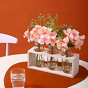 hehimhis Desktop Glass Planter Vase with Wooden Stand for Hydroponics Plants Decor for Home Office Garden Wedding, Pink