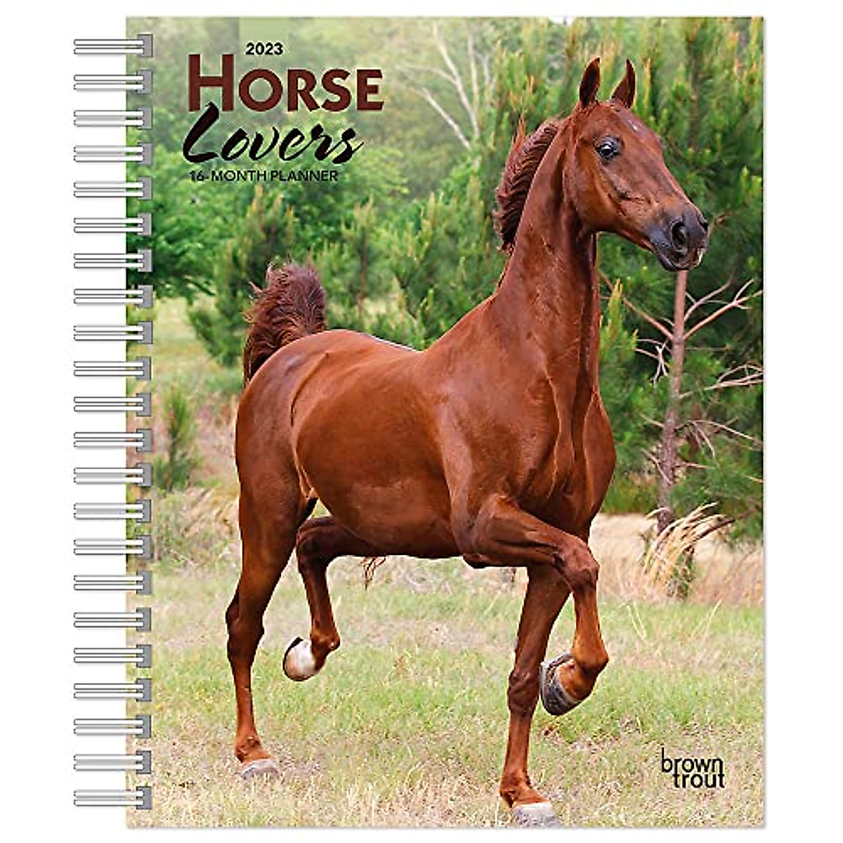 Horse Lovers | 2023 6 x 7.75 Inch Spiral-Bound Wire-O Weekly Engagement Planner Calendar | New Full-Color Image Every Week | BrownTrout | Animals Equestrian