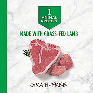 Instinct Limited Ingredient Diet Grain Free Recipe with Real Lamb Natural Dry Dog Food, 20 lb. Bag