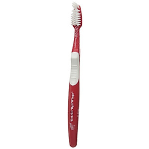 Siskiyou Sports NHL Detroit Red Wings Toothbrush
