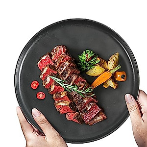 Vidalenta Porcelain Dinner Plates Set of 4, 10 Inch Salad Plate Set, Ceramic Pasta Plate Set Serving Dishes Small Plates Modern Dinnerware Set, Microwave Oven and Dishwasher Safe, Matte Black