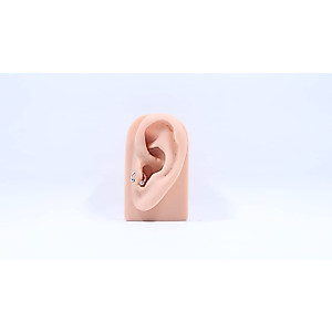 316L Surgical Steel Septum Rings for Women Septum Jewelry 16g 8mm Ear Piercing Earrings Horseshoe Circular Barbell with Internally Threaded Balls 16 Gauge Piercing Jewelry for Daith Helix Tragus Lip