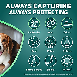 Germ Guardian FLT4850PT True HEPA Genuine Air Purifier Replacement Filter B, with Pet Pure Treatment for GermGuardian AC4900, AC4825, AC4850PT, CDAP4500, AC4300, and More, 1 Count (Pack of 1)