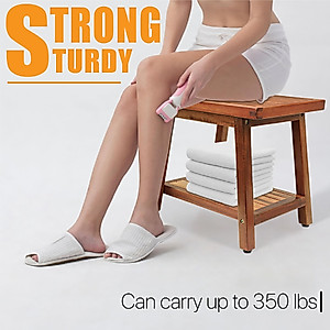 Shower Stool Bench Chair Waterproof with Storage Shelf for Shaving Legs, Spa, Bath Seat in Bathroom, Inside Shower Bench for Adults Seniors Elderly, Outdoor Side Table, Patio, Pool, Porch End Table