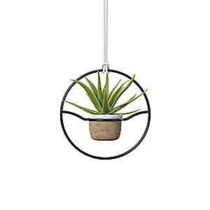 HOBBYMATE Plant Hangers Without Plant & Pot, Metal Hanging Plant Holder, Home Decorating Hanging Iron Art, 3 inches Rose Black Color