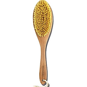 ICANdOIT-4 in 1 Foot File Callus Remover with Long Handle Classic Dry Brushing Body Brush Back Scrubber,Shower Brush for exfoliator Skin and Remove Dead Skin Cells
