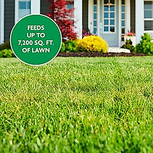 Miracle-Gro Water Soluble Lawn Food - Fertilizer for All Grass Types, Feeds Up to 7,200 sq. ft.