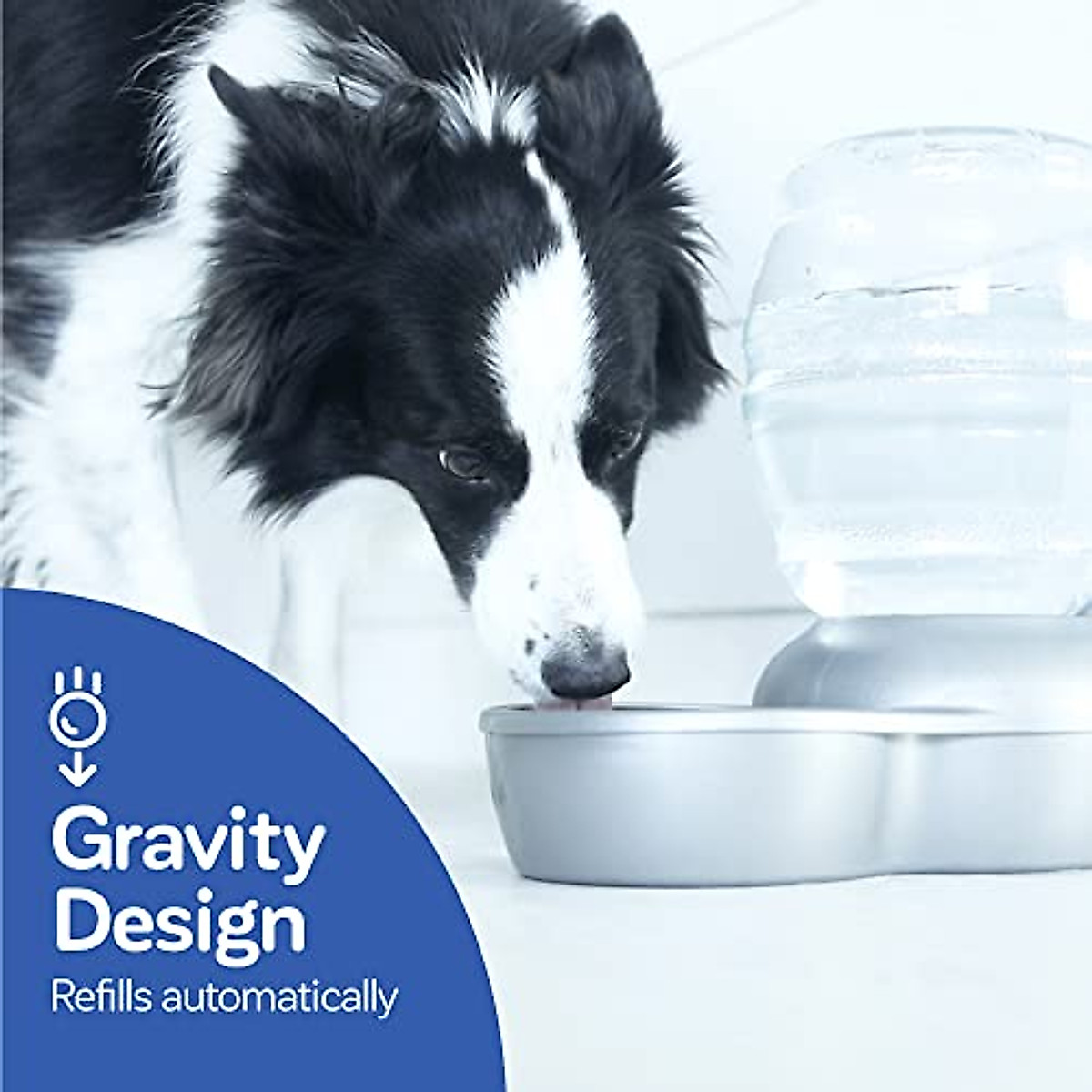 Petmate Replendish Automatic Gravity Waterer for Cats and Dogs, BPA-Free, No Batteries Required, Includes Charcoal Filter, 0.5 Gallon