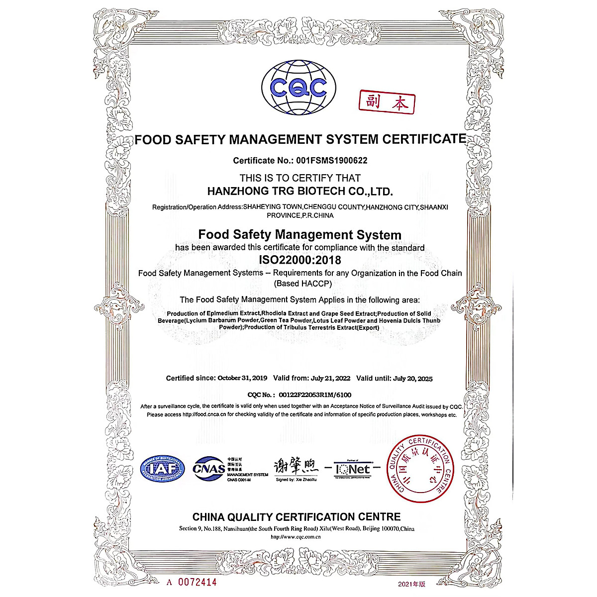 WonderLand Herbs Organic Cracked Cell Wall Wild Harvested Camellia Sinensis Pollen Powder 100 Grams (3.5 oz.) for Beauty