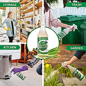 Vinevida Iguana Repellent for Outdoors Indoors (32 fl oz) Natural Instant Action Spray, Pleasant Scent, Safe for Kids and Pets