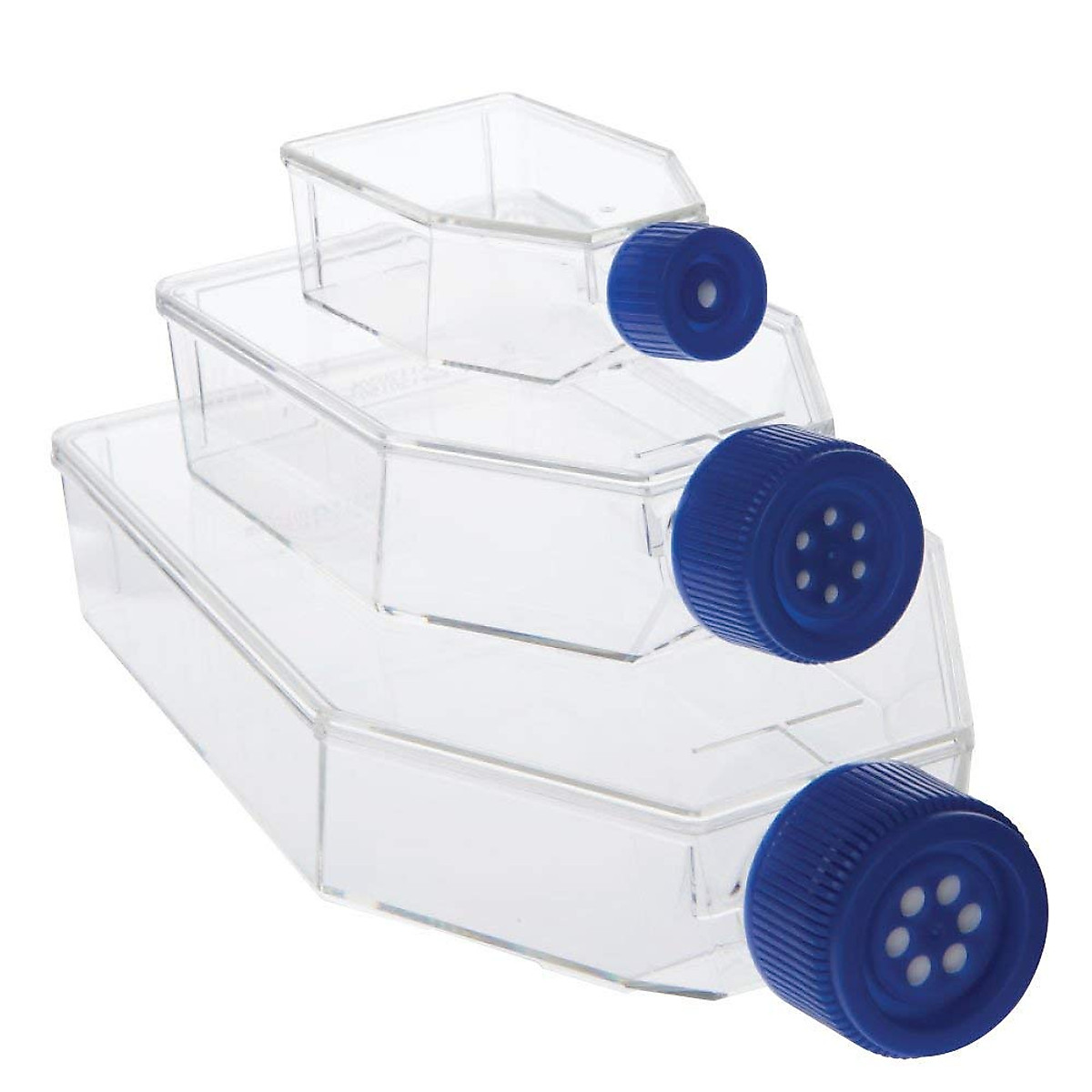 TC Treated Flasks, 250ml, Vented, Growth Area: 75.0cm2, 5 per Sleeve, 100 Flasks/Unit