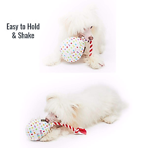 Pet London Birthday Balloon Dog Toy - Celebrate Your Dog's Happy Birthday - Plush colourful Rainbow Confetti Pattern Dog Party Gift-Perfect Pup Special Day Present-UK Designer Brand-BDAY or Adoption