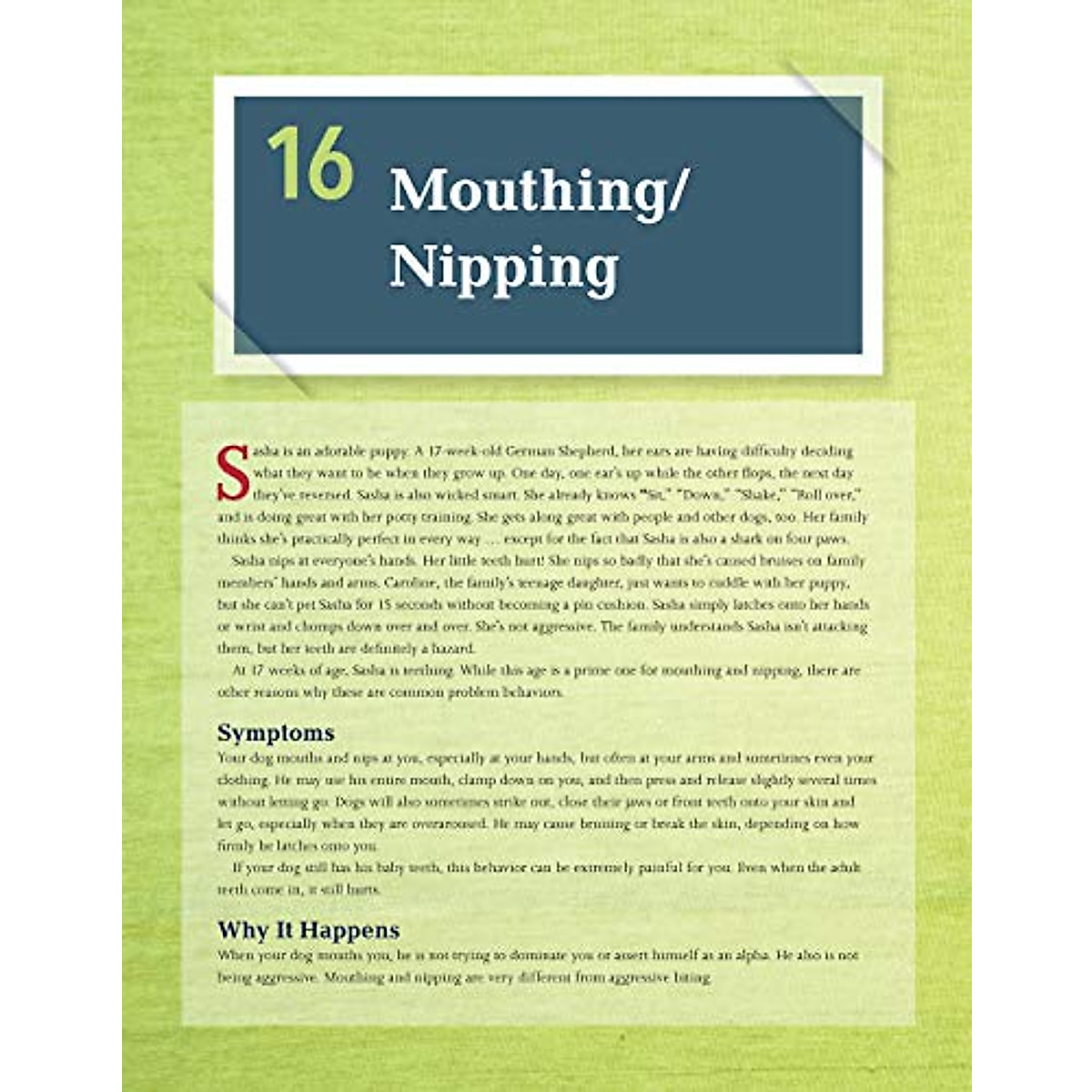 The Dog Behavior Problem Solver: Step-by-Step Positive Training Techniques to Correct More than 20 Problem Behaviors (CompanionHouse Books) Fix Barking, Separation Anxiety, Chewing, Begging, and More