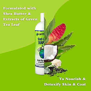 earthbath Green Tea & Awapuhi Pet Shed Control Shampoo & Conditioner - Helps Relieve Shedding & Dander, Aloe Vera, Shea Butter, Good for Dogs & Cats, Nourish & Detoxify Skin/Coat - 16 fl oz, Pack of 2