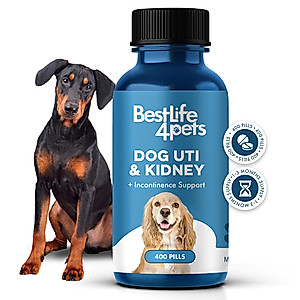 Dog UTI Treatment, Bladder & Kidney Support - Natural Incontinence and Bladder Control for Dogs Reduces Urinary Tract Infections, Flush Out Kidney Stones & Improves Dog Kidney Health - 400 Tiny Pills
