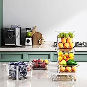 HNEDSEN 12 Pack Plastic Food Pan with Lid 1/9 Size 4 Inch Deep Restaurant Clear Food Storage Containers Polycarbonate Commercial Hotel Pans for Fruits Vegetables Beans Corns (12 PCS, 4'' Deep)