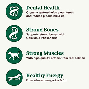 Nutro Natural Choice Adult Dry Dog Food, Salmon & Brown Rice Recipe, 28 lb. Bag