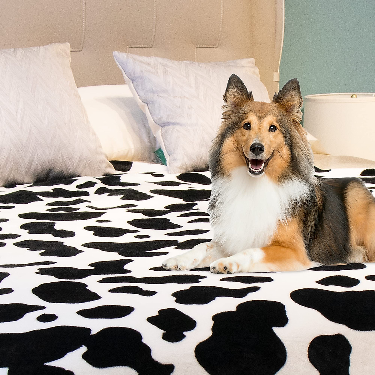 Cow Print Blanket Lightweight Soft Warm Blankets and Throws Cozy Fleece Cow Baby Blanket Fuzzy Cute Black Cow Printed Throw Blankets for Baby Kids Boys Girls Toddler Newborn Infant 40x50 inch