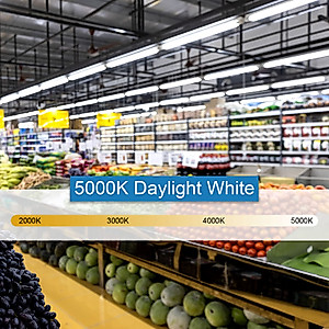 Ghiuop T8 LED Bulbs 4 Foot, 12 Pack 36W 4680LM 5000K Daylight White Type B 4FT LED Tube Lights, T8 T10 T12 Fluorescent Replacement Bulbs, Ballast Bypass, V-Shaped, Double Ended Power, Clear Cover