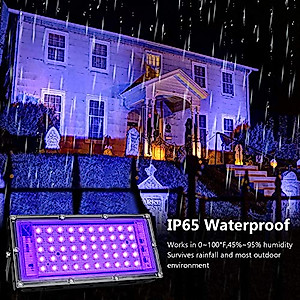 Indmird 2 Pack 50W Black Lights, Blacklight Flood Light with Plug and Switch,for Glow Party, Halloween, Fluorescent Poster, Body Paint