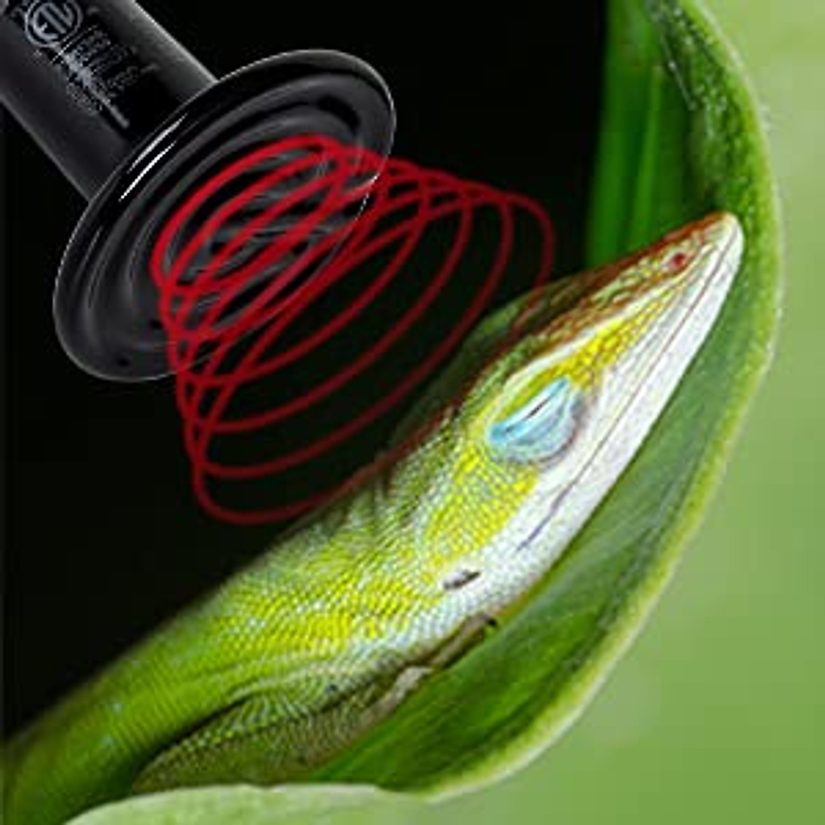 150W PTSCBS Ceramic Heat Lamp Bulb, Infrared Reptile Heat Emitter Bulbs Heater Lamp for Pet Brooder Coop Chicken Lizard Bearded Dragon Turtle Snake Aquarium, No Light No Harm