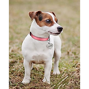 TagME Reflective Nylon Dog Collars, Adjustable Classic Dog Collar with Quick Release Buckle for Puppy, Baby Pink, 3/8" Width