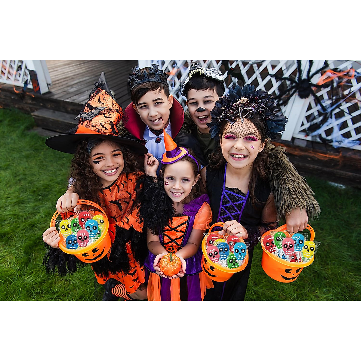 Fruidles Halloween Skull Candy Day of the Dead Lollipops Individually Wrapped (12-Pack