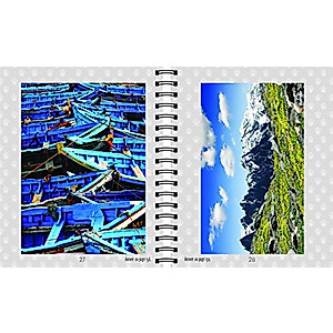 Brain Games - Find the Cat: Track Down Cute Cats and Adorable Kittens in 129 Pictures (Volume 1) (Brain Games - Picture Puzzles)