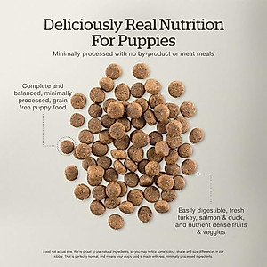 Now Fresh Grain-Free, Dry Dog Food, Real Meat and Fish, Turkey, Salmon and Duck Puppy Recipe, All Breed Size, 3.5 lb Bag