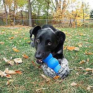 KONG - Genius Mike - Interactive Treat Dispensing Dog Puzzle Toy - For Large Dogs (Assorted Colors)