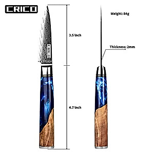 CRICO Paring Knife 3.5 inch Fruit Knife, Small Kitchen Knives, VG10 Damascus Super Steel 67-Layers, Full Tang Wood&Resin Handle, Gift Box - Flow Series