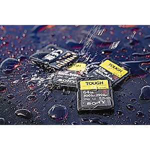 Sony SF-G32T/T1 Tough High Performance SDHC UHS-II Class 10 U3 Flash Memory Card with Blazing Fast Read Speed up to 300MB/s, 32GB Black