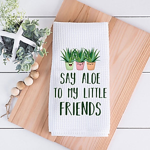 BDPWSS Plant Lover Gift Say Aloe to My Little Friends Dish Towel for Gardener Gift Succulent Plant Gift Crazy Plant Lady Gift (Say Aloe Friends TW)