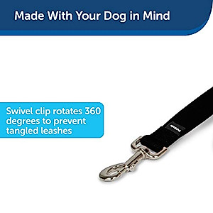 PetSafe Nylon Dog Leash - Strong, Durable, Traditional Style Leash with Easy to Use Bolt Snap - 3/8 in. x 6 ft., Black
