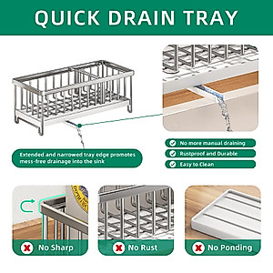 PETXPERT Kitchen Sink Caddy, Sponge Holder for Kitchen Sink, Dish Sponge Organizer with Divider, Rustproof 304 Stainless Steel Dish Brush Holder Storage for Bathroom, Silver