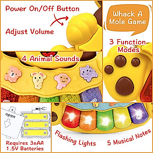 Adorable Lion Baby Piano Toy - 5 Different Numbered and Colored Light Up Key - Touch and Teach Baby Musical Toy w/ 3 Play Modes - Interactive Toy for Babies 12 Months & Up