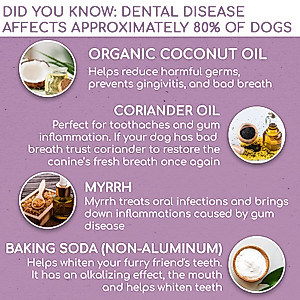 Bella PETZZO DENTI - Organic Dental Mouth Spray for Dogs-Helps Fight Plaque, Tartar, Bad Breath, Gums, Provides Kissable Fresh Breath, Made with Coconut Oil, Coriander, Myrrh - 8 Fl Oz (240ml