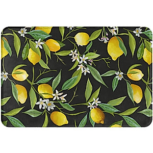 Lemon Fruit Mats Bathroom Rugs Soft Bath Rugs Non Slip, Washable Cover Floor Rug Absorbent Carpets Floor Mat Home Decor for Kitchen Bedroom(30x18)