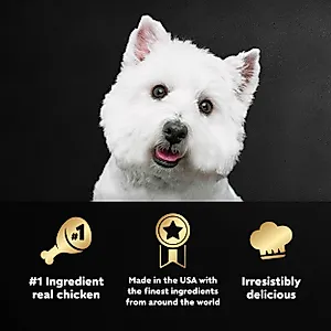 CESAR Adult Wet Dog Food Classic Loaf in Sauce Chicken & Veal Recipe, 3.5 oz. Easy Peel Trays, Pack of 24