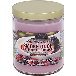 Smoke Odor Exterminator Mulberry And Spice Candle 13 oz - Pack of 2